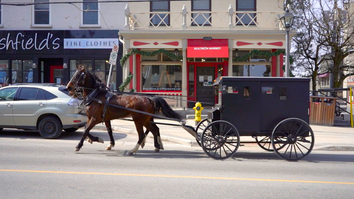 Passeios bate e volta saindo de Toronto - 2025 - Grupo Dicas De Viagem
