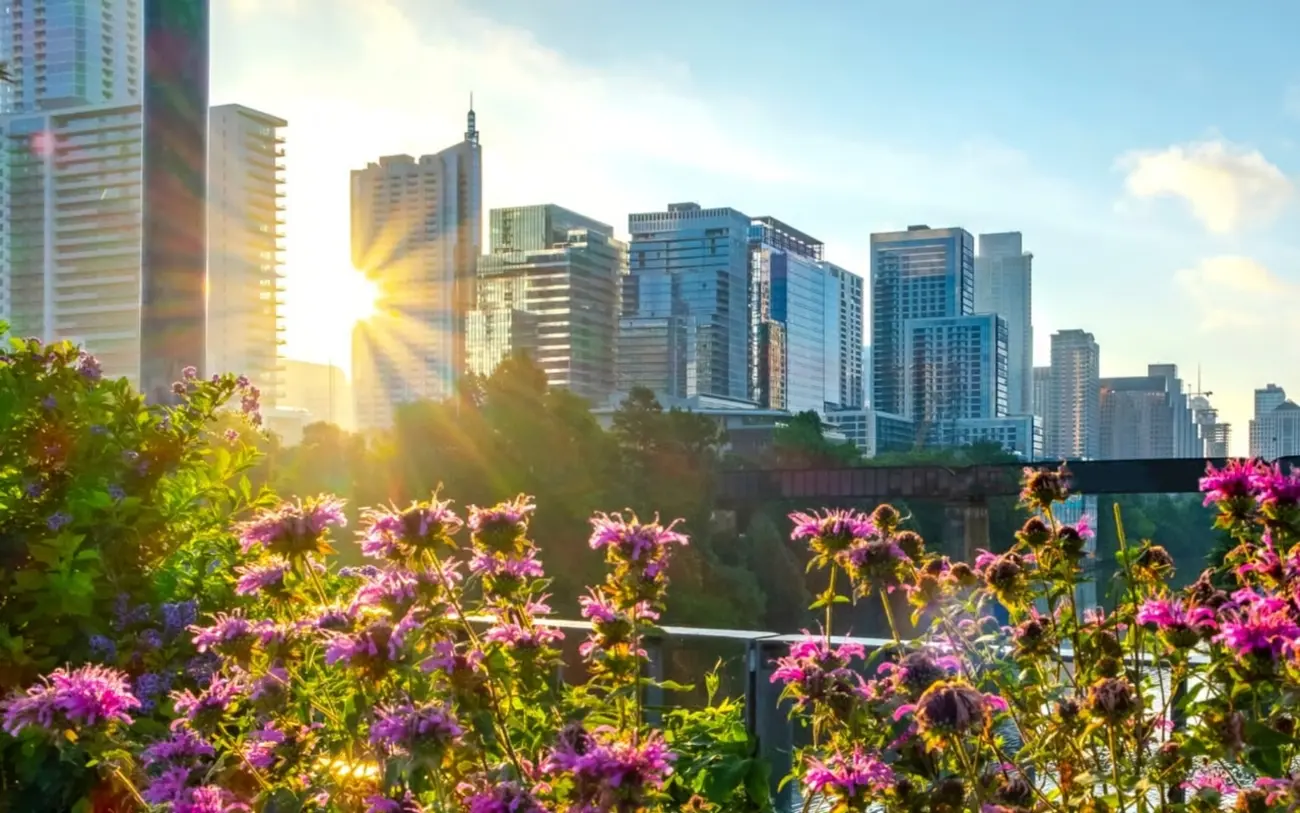 Como é o clima em Austin e no Texas mês a mês! - 2025 - Grupo Dicas De ...