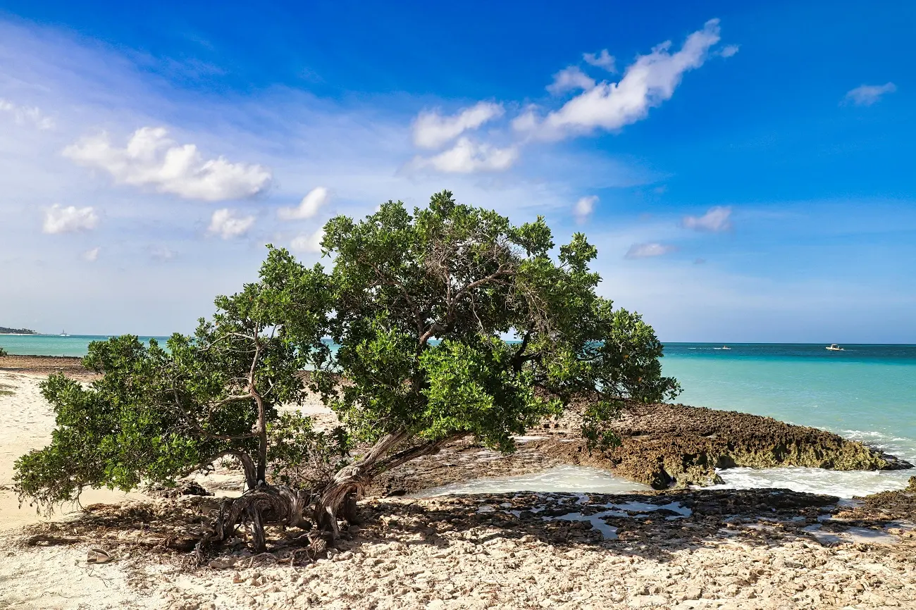Agosto em Aruba: Como é o que fazer! - 2025 - Grupo Dicas De Viagem