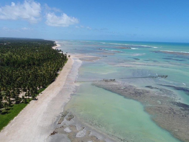 O que fazer em São Miguel dos Milagres: 5 dicas imperdíveis - 2025 ...